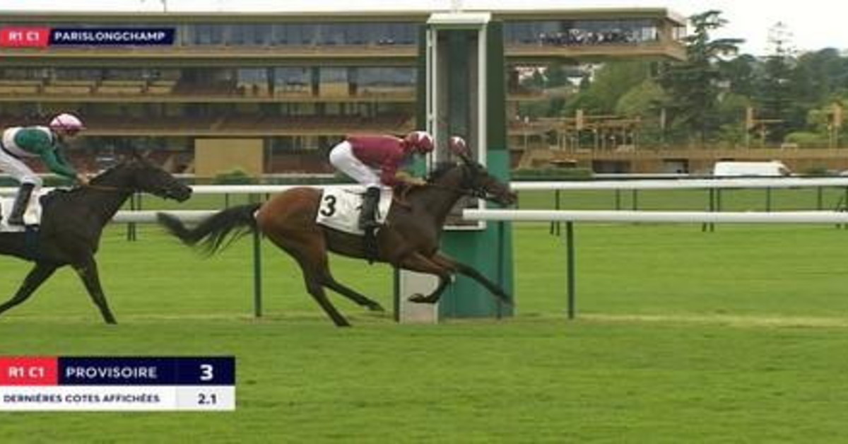 Prima volta per Allegri, il suo cavallo vince a Parigi | News ...