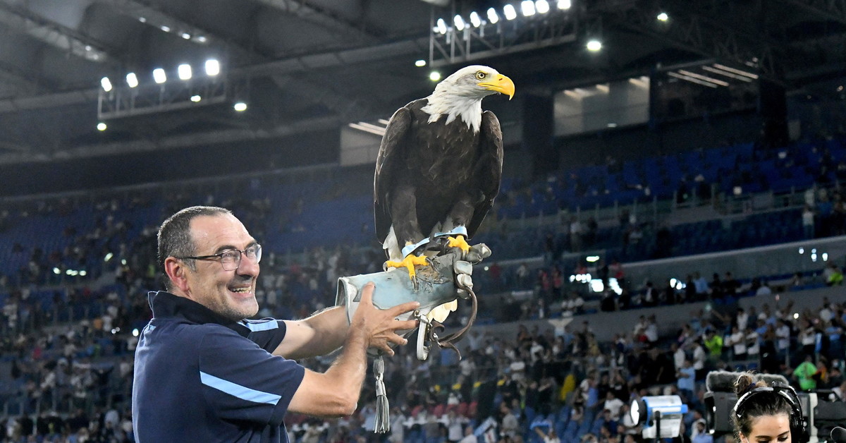 Lazio, Sarri e l'aquila Olimpia: "Dorme dietro la mia stanza a Formello ...