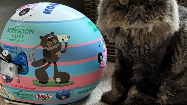 Albon, casco dedicato al suo gatto Stan